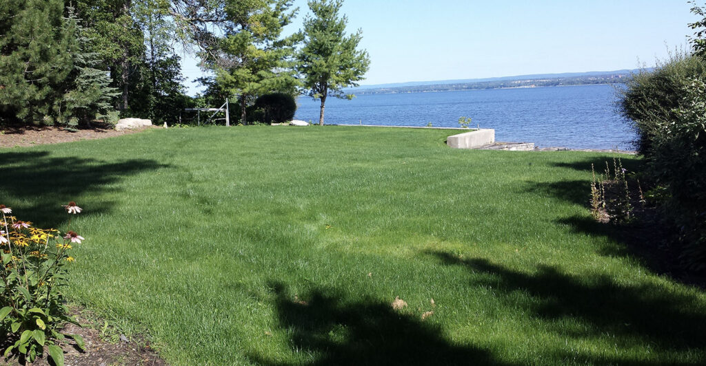 Terraseeding – Blower Xpress Services | Ottawa